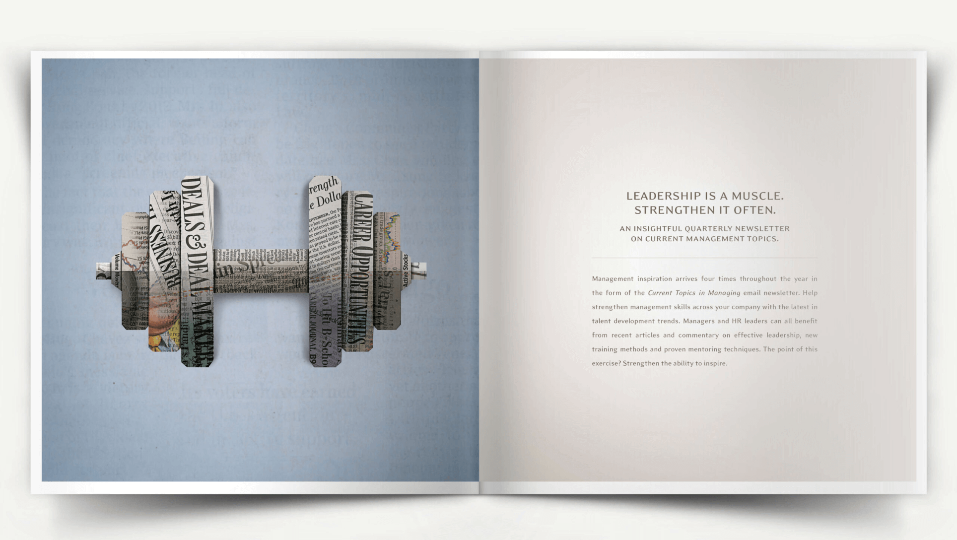 Mentorship Program - Curiosity Division