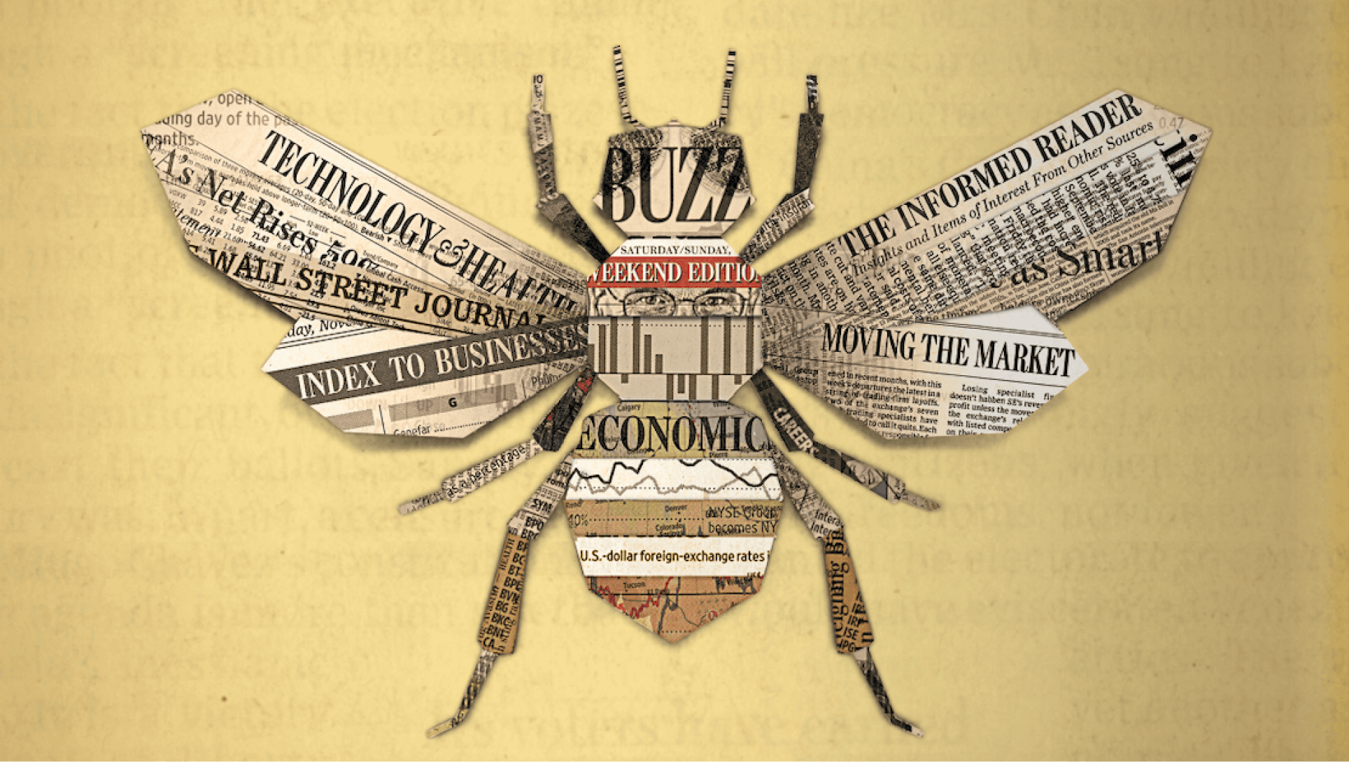 Mentorship Program - Curiosity Division